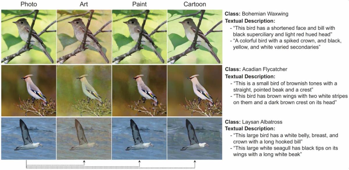 [ECCV 2022] Grounding Visual Representations with Texts for Domain ...